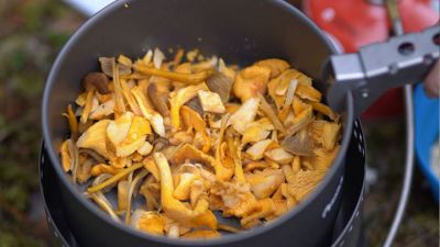 Topp 3 oppskrifter med sopp på primus | Chillout.no